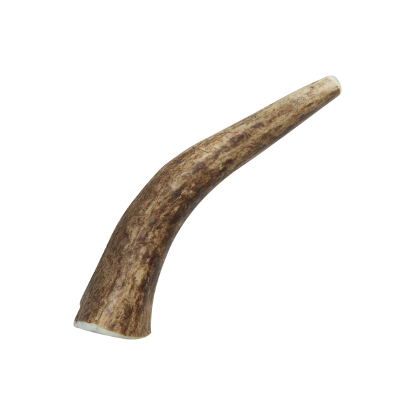 Health Extension Large Whole Elk Antlers – Bow and Wow Online