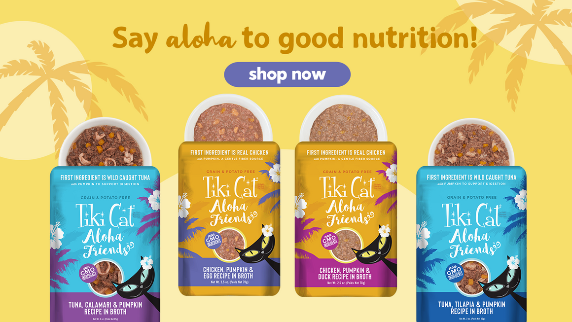 bow & wow Online Store – Bow & Wow