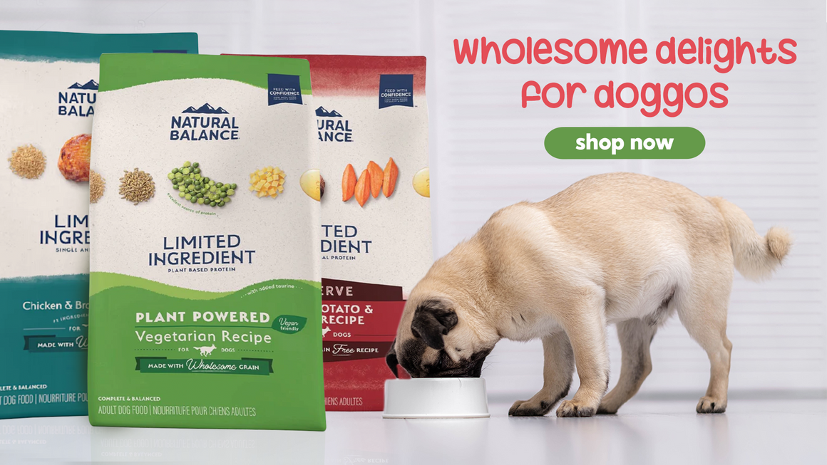 bow & wow Online Store – Bow & Wow