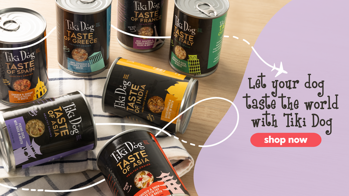 bow & wow Online Store – Bow & Wow