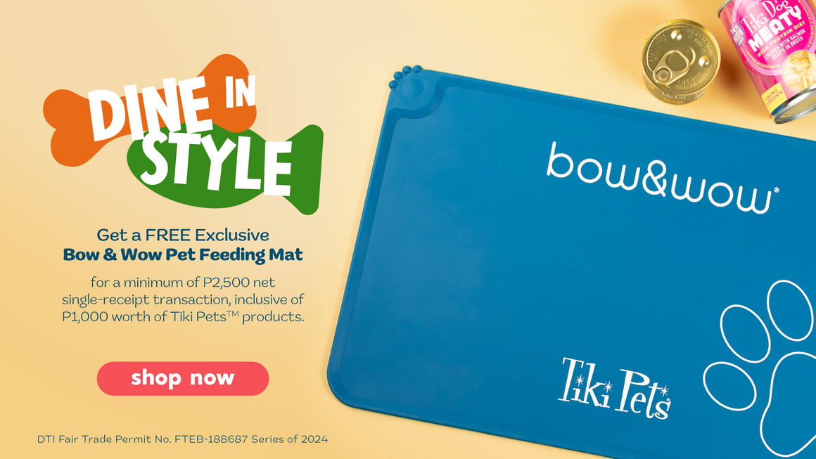 bow & wow Online Store – Bow & Wow