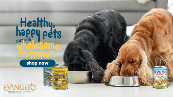 bow & wow Online Store – Bow & Wow