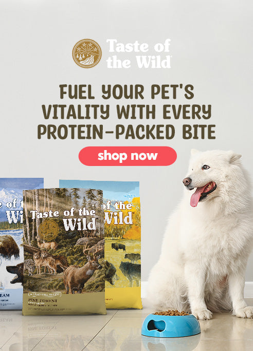 bow & wow Online Store – Bow & Wow