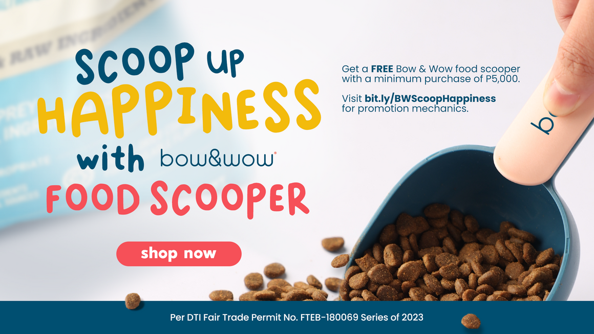 bow & wow Online Store – Bow & Wow