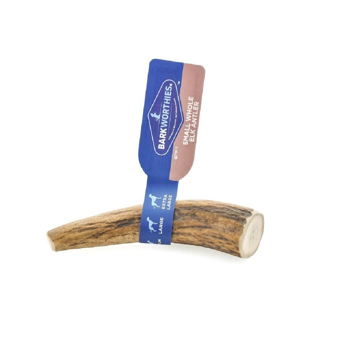 Barkworthies Elk Antler Whole Small – Bow & Wow